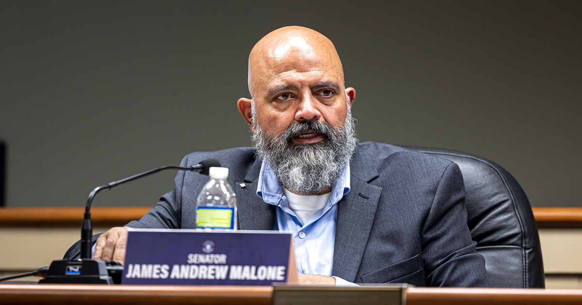 Senator Malone Introduces Legislation to Protect Minors from Sexually Explicit AI Deepfakes ...